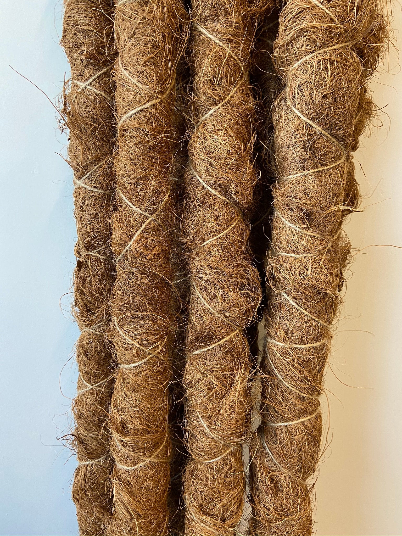 Coir Moss Pole | All Sizes | Plantopia - The Plant Shop