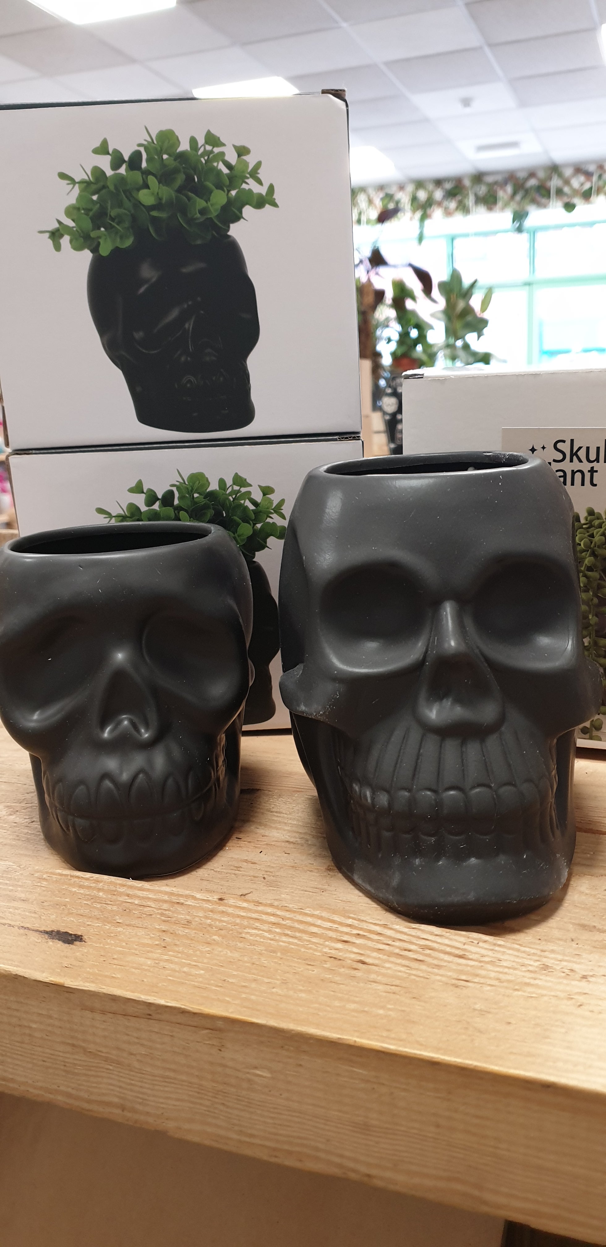 Skull Pot | Black | 11.5cm Plant Pot | 13cm Plant Pot | Gothic Garden ...