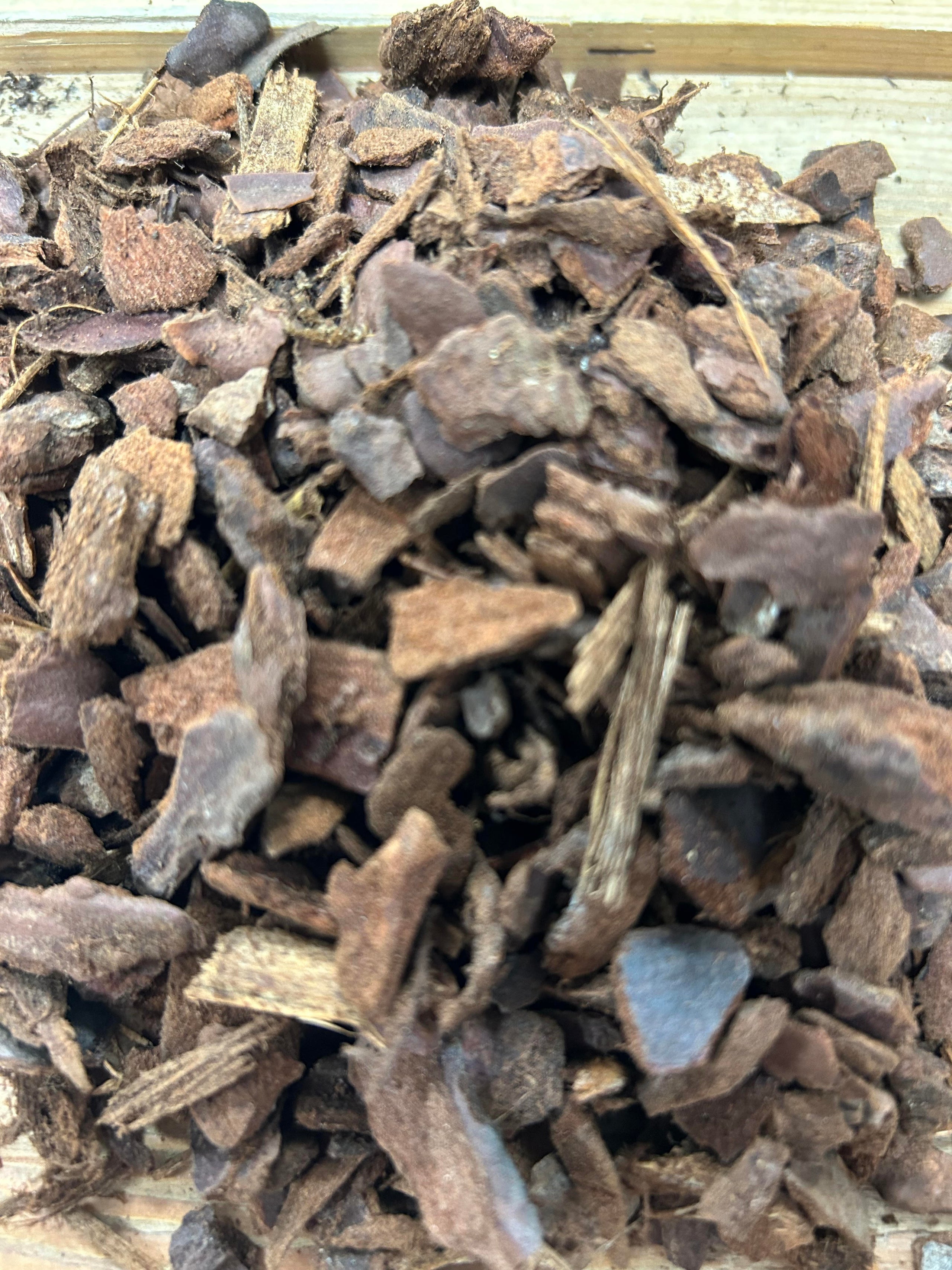 Orchid Bark - 500ml | Plantopia - The Plant Shop